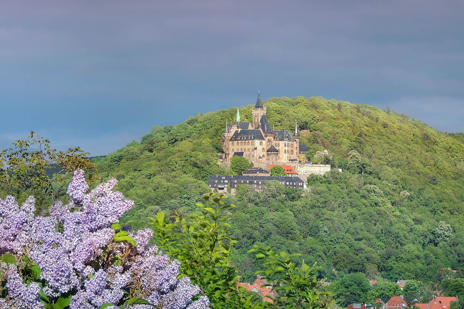 The Harz Mountains: A hidden treasure in the heart of Germany