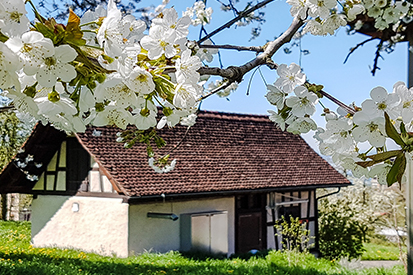 Heiner’s Brennhüttli | The passion for distillates | Discover Germany