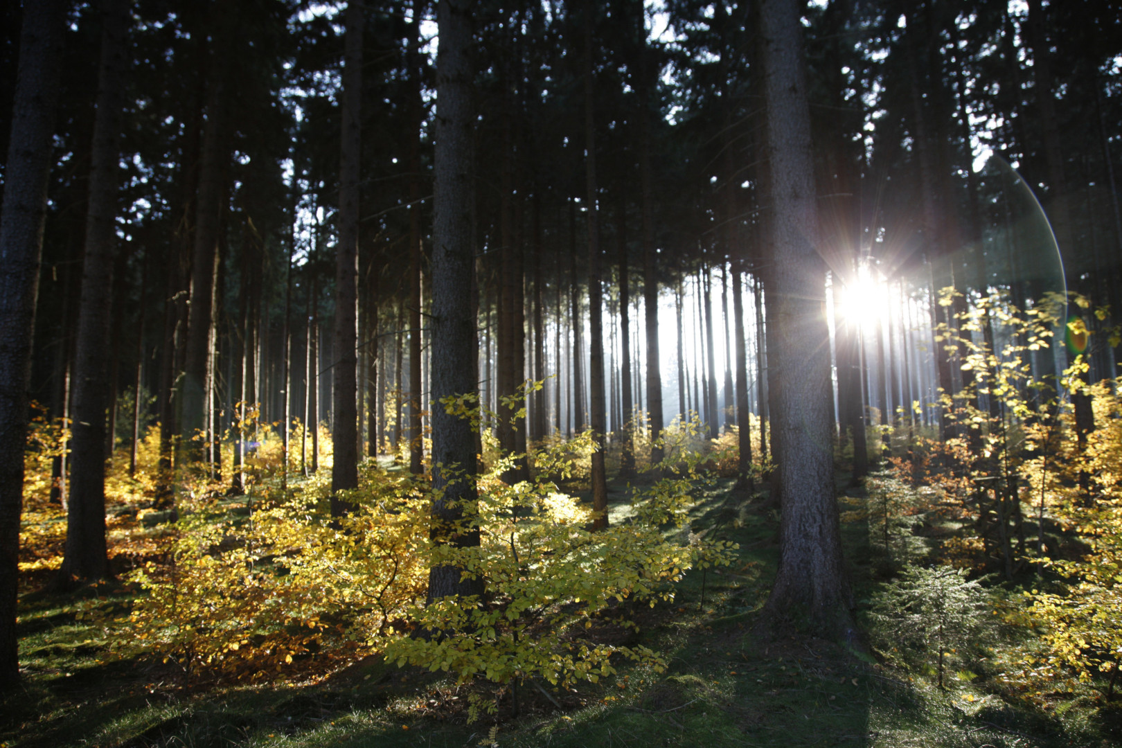 The northern face of Germany