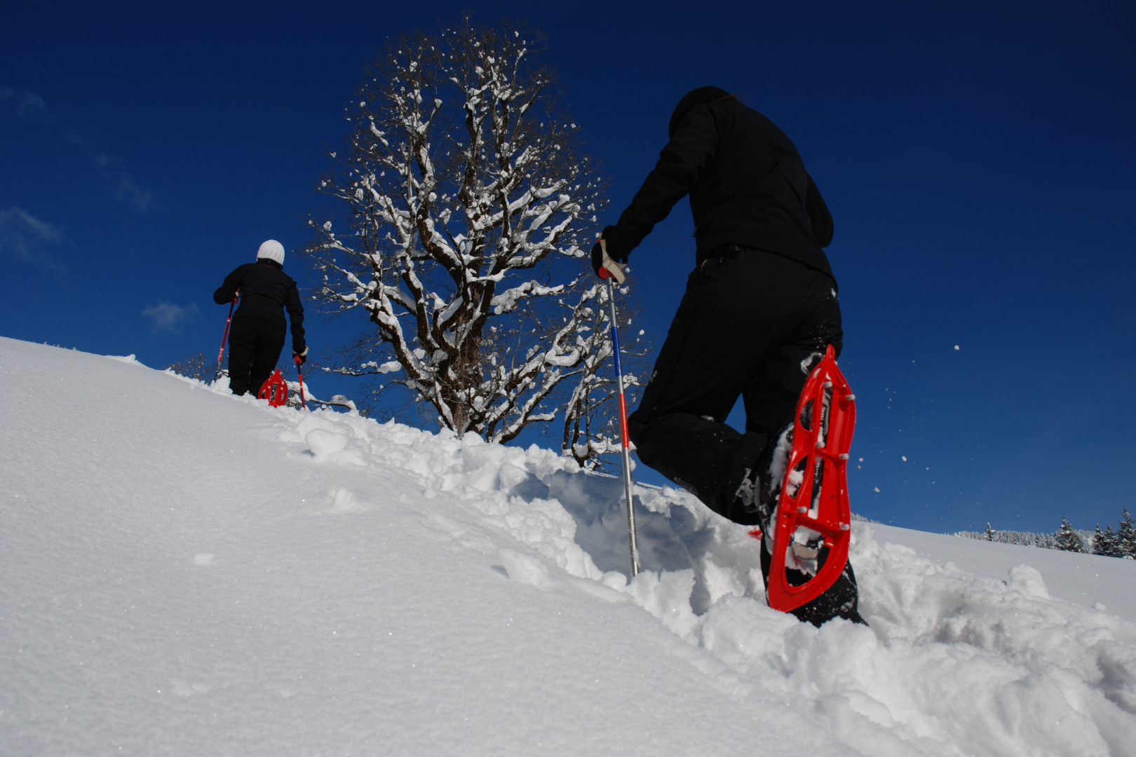 Snowshoeing in Germany’s Little Siberia