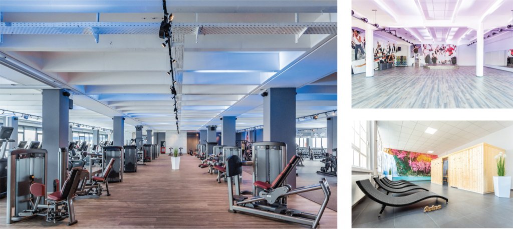 MC Shape | Vier Säulen für den unternehmerischen Erfolg