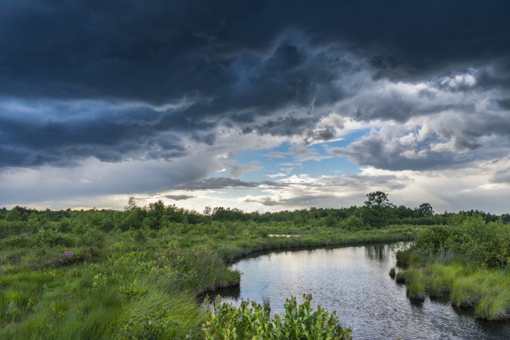 Vechta: Blending historic and modern charm