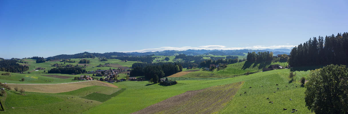 Emmentaler AOP | Emmentaler AOP cheese:the original at your fingertips