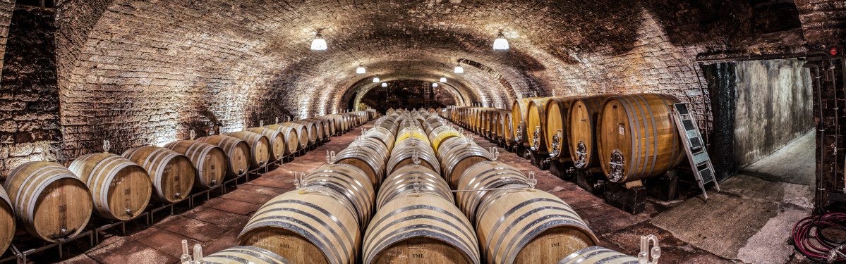 Indulge, enjoy, learn | Top-ten German wine regions | Discover Germany