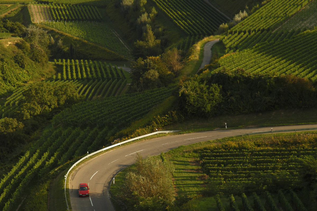 Indulge, enjoy, learn | Top-ten German wine regions | Discover Germany