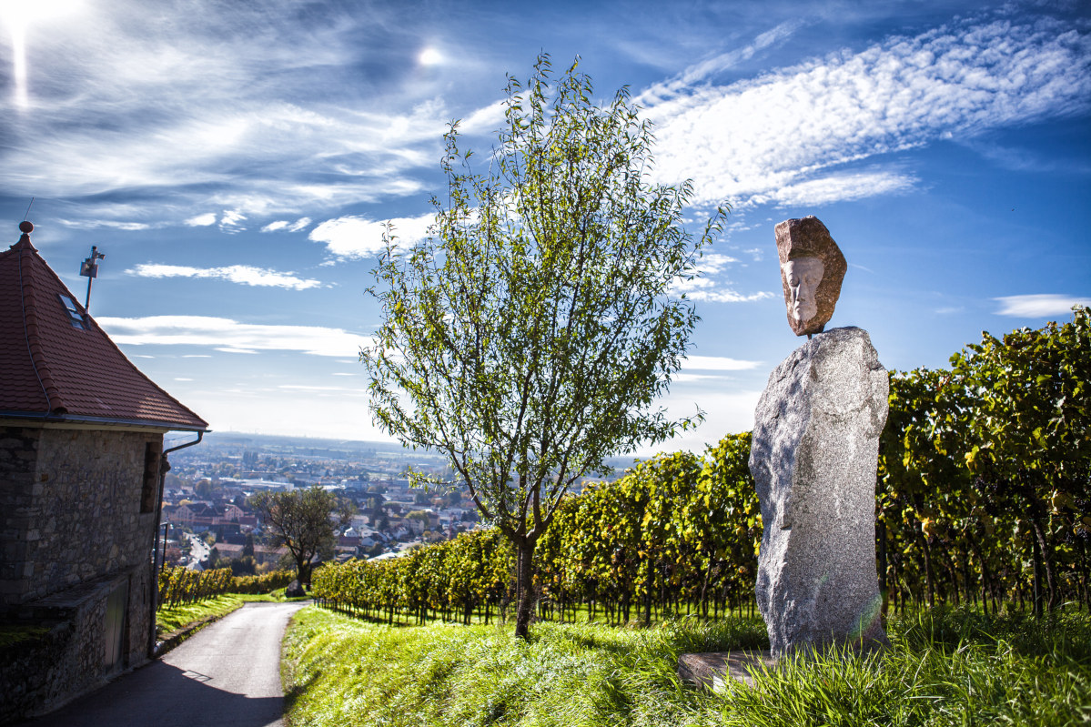 Indulge, enjoy, learn | Top-ten German wine regions | Discover Germany