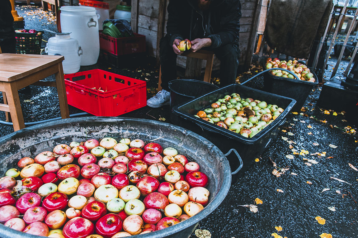 ON THE APFELWEIN ROAD: FALLING FOR GERMANY’S APPLE CIDER