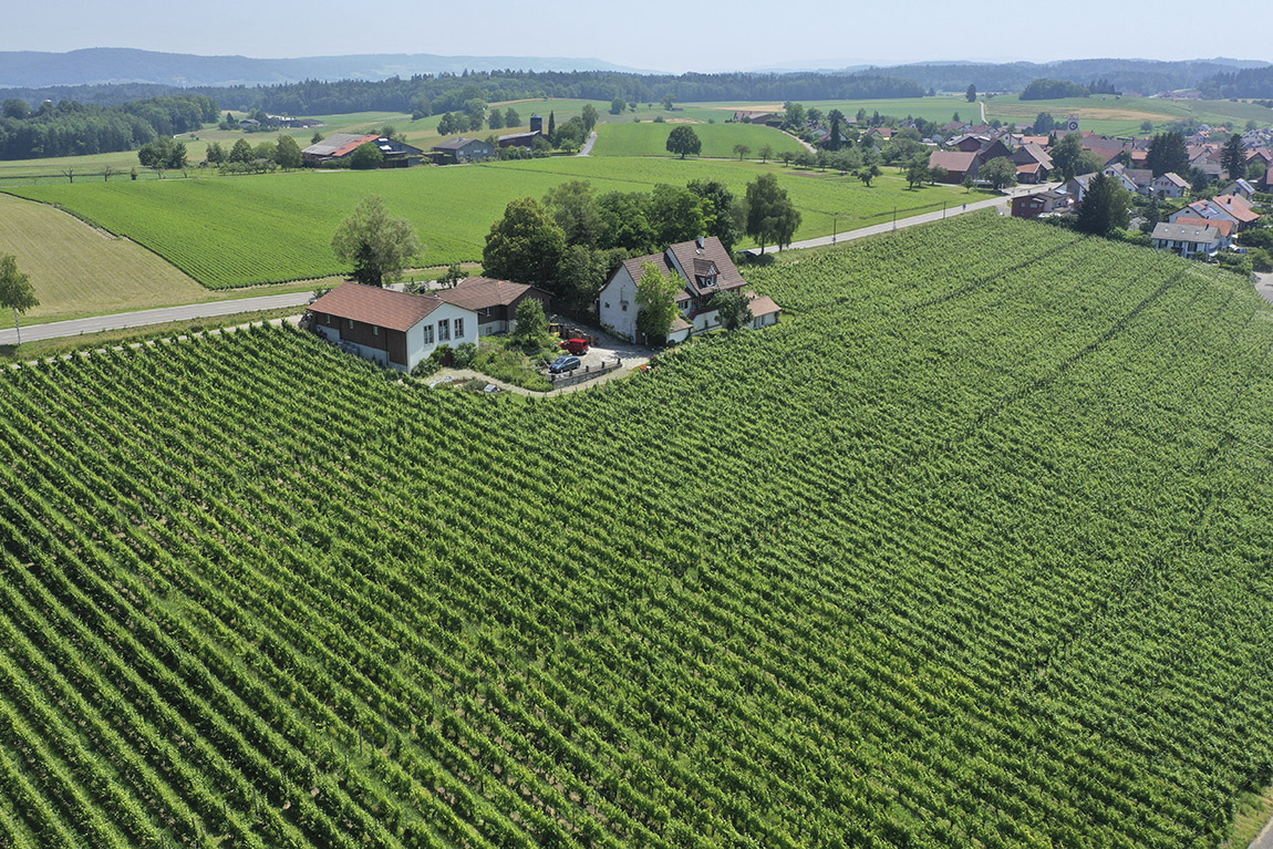 Zahner: CLASSIC WINEMAKING METHODS WITH HEART AND MIND