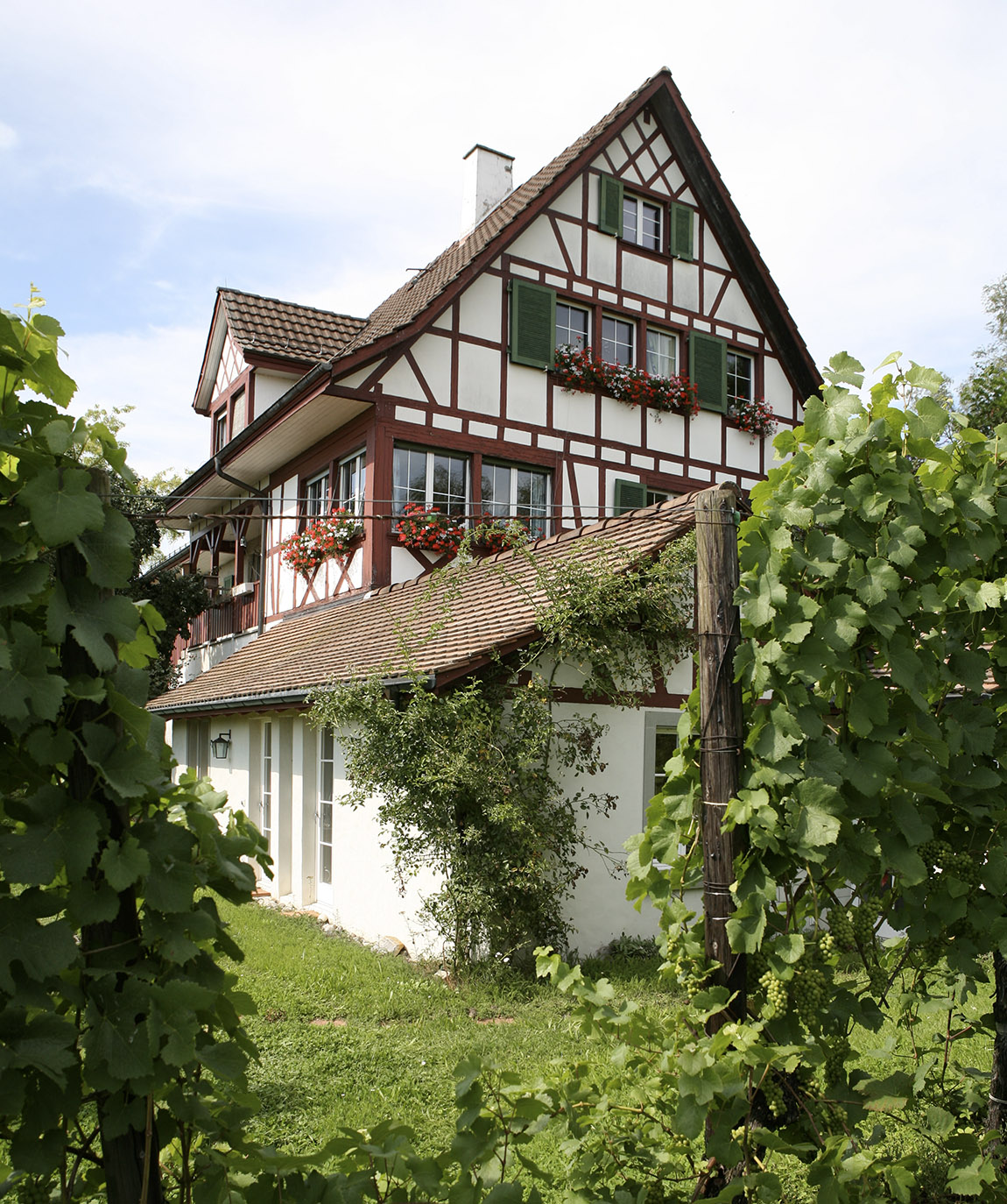 Zahner: CLASSIC WINEMAKING METHODS WITH HEART AND MIND