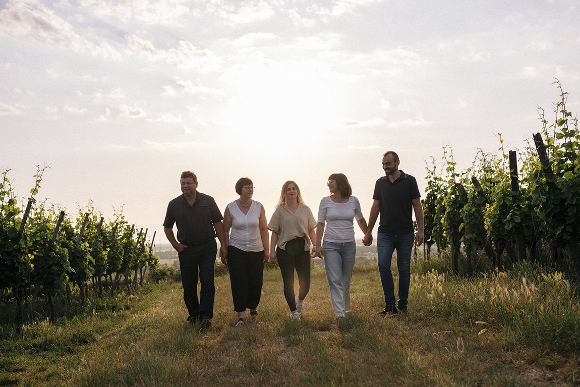 Noll Winery: FINE WINES | Discover Germany