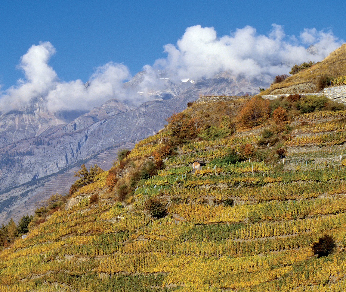 St. Jodern Kellerei: Award-winning indulgence