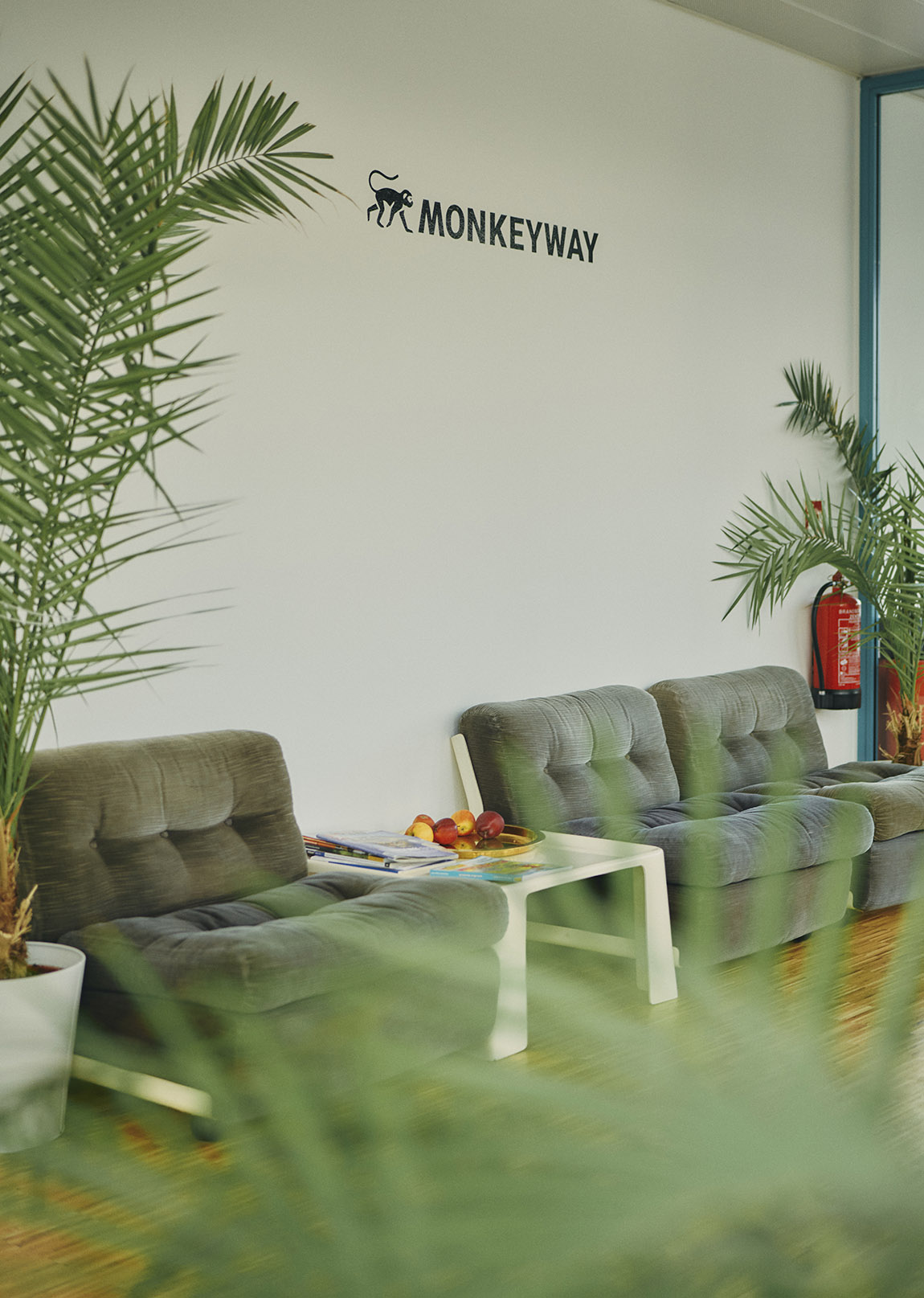 MONKEYWAY: Digital 3d solutions for superior customer