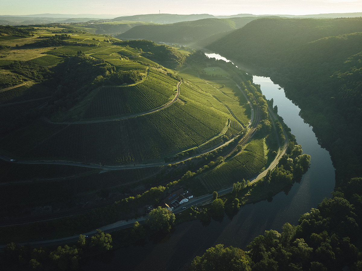 The elegance of unique wines: Winery Dönnhoff