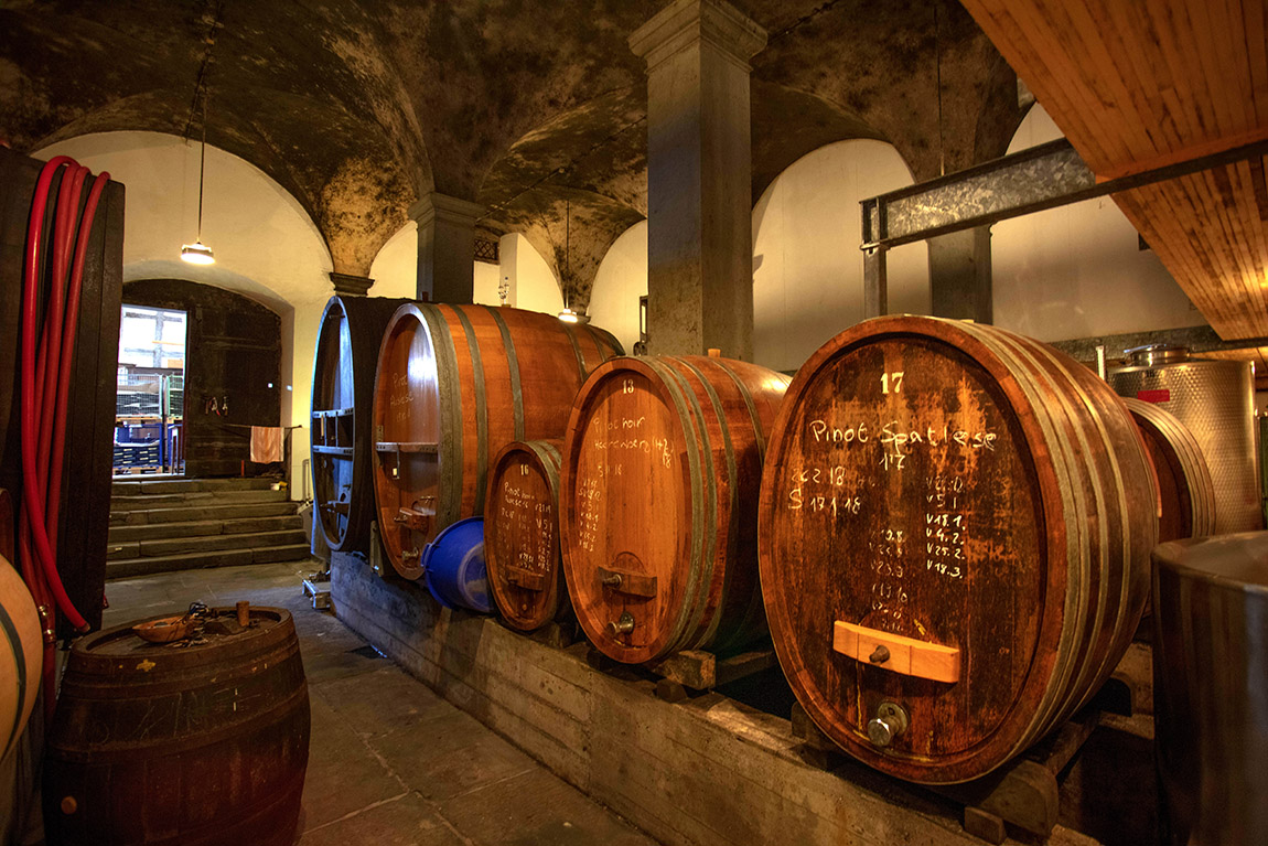 Weingut Schipf – Tradition, terroir and culinary pleasure