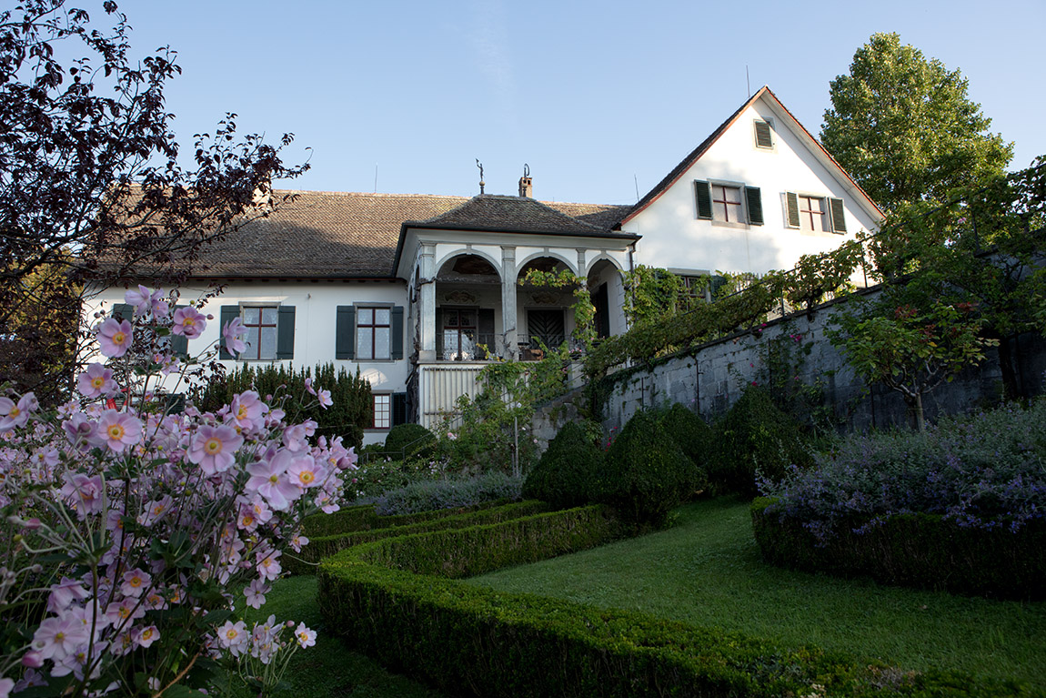 Weingut Schipf – Tradition, terroir and culinary pleasure